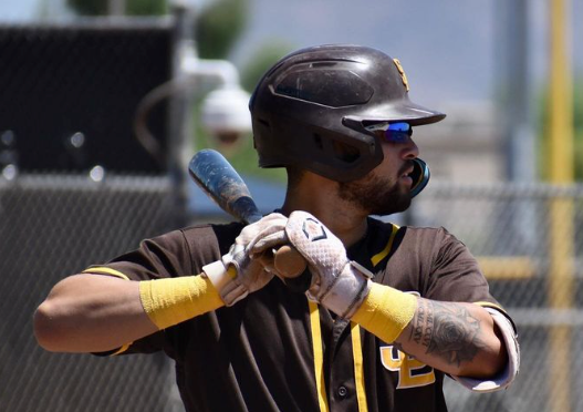 Padres Down on the Farm: August 3 (Lowe debuts for FW/King Jr. slugs ...